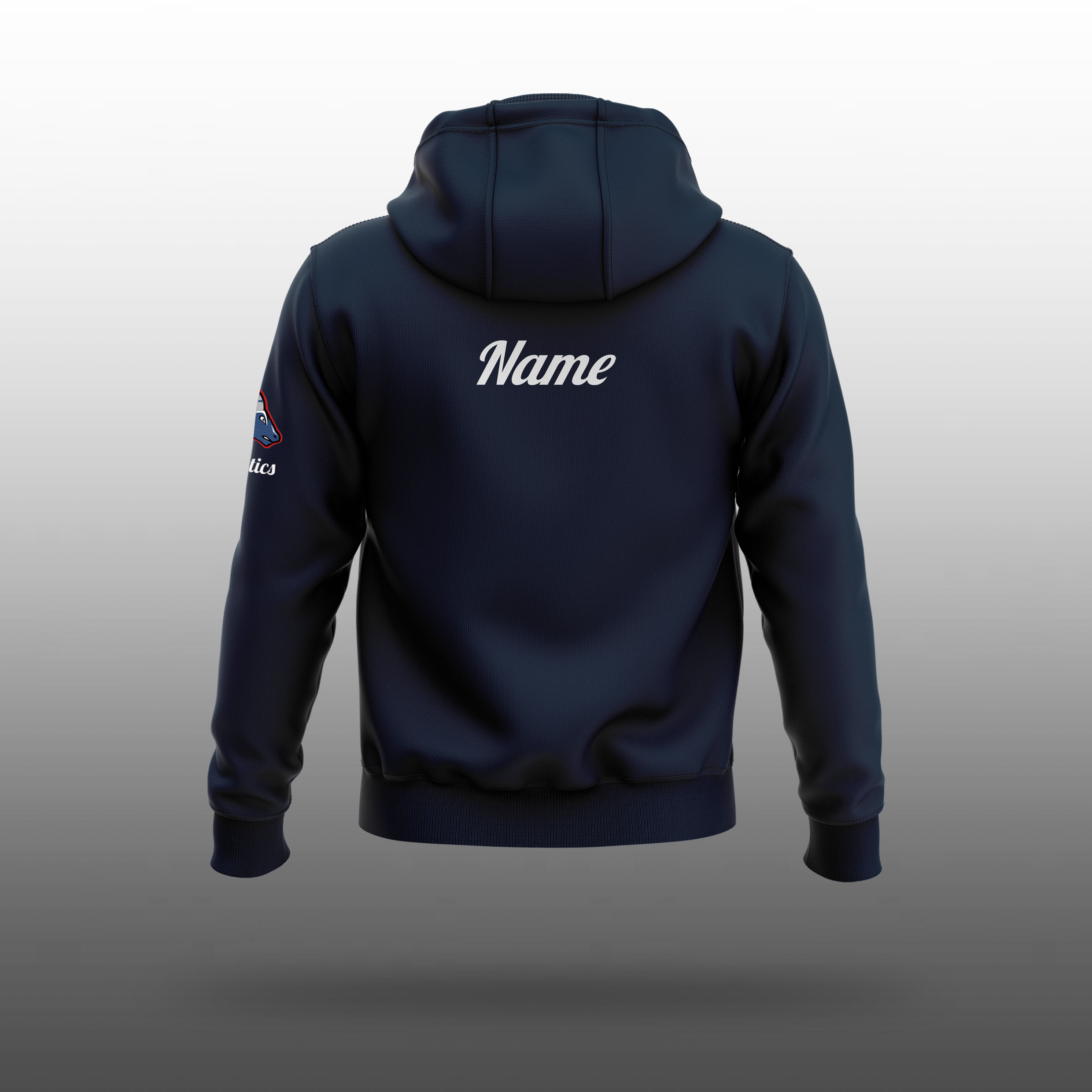 AISG Hooded Sweater